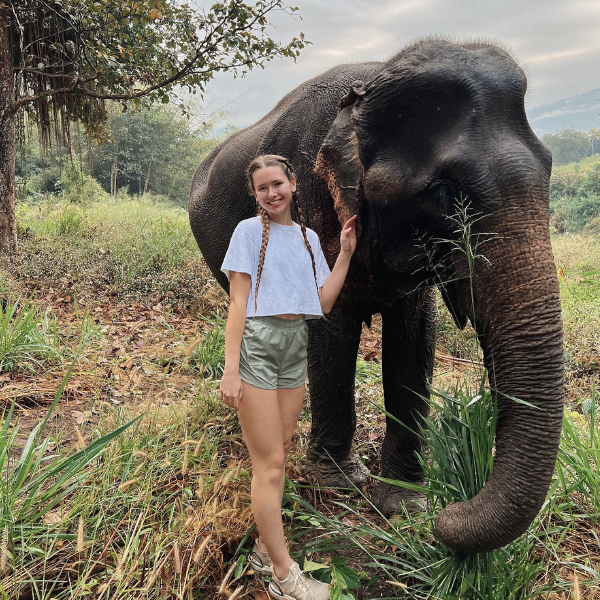 Payment #3: Mexico – ILP STORE